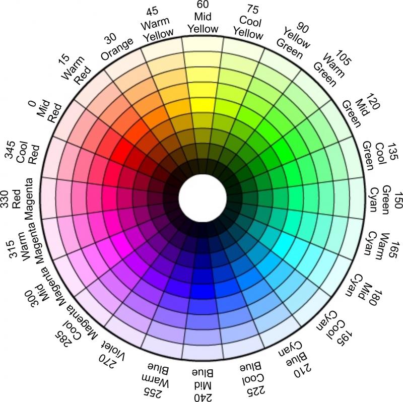 What Is Your Favorite Color 
